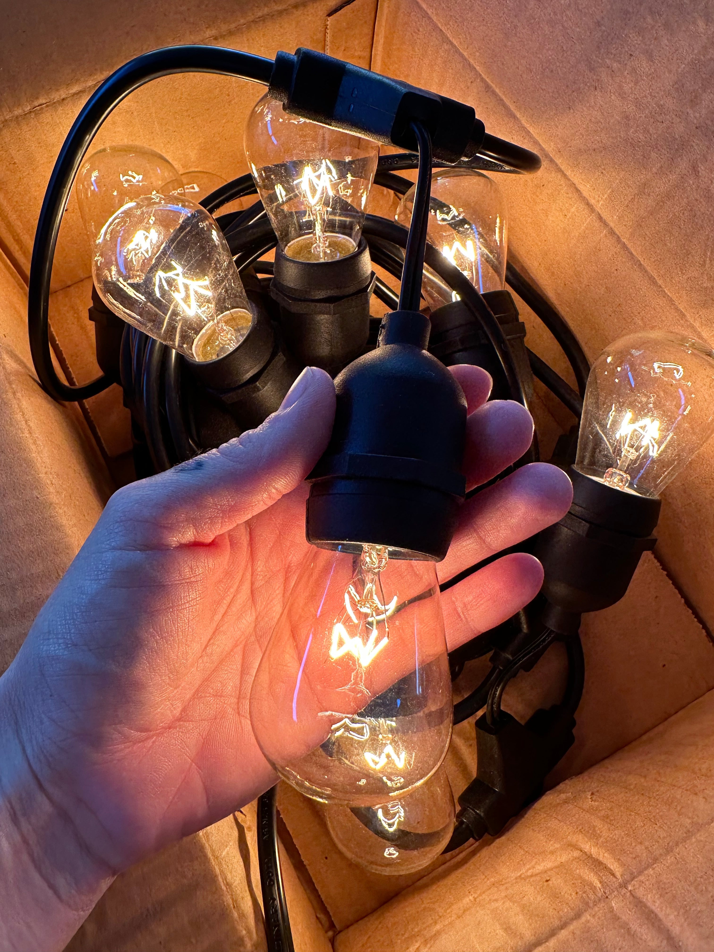 Bulbs – Glow Lighting