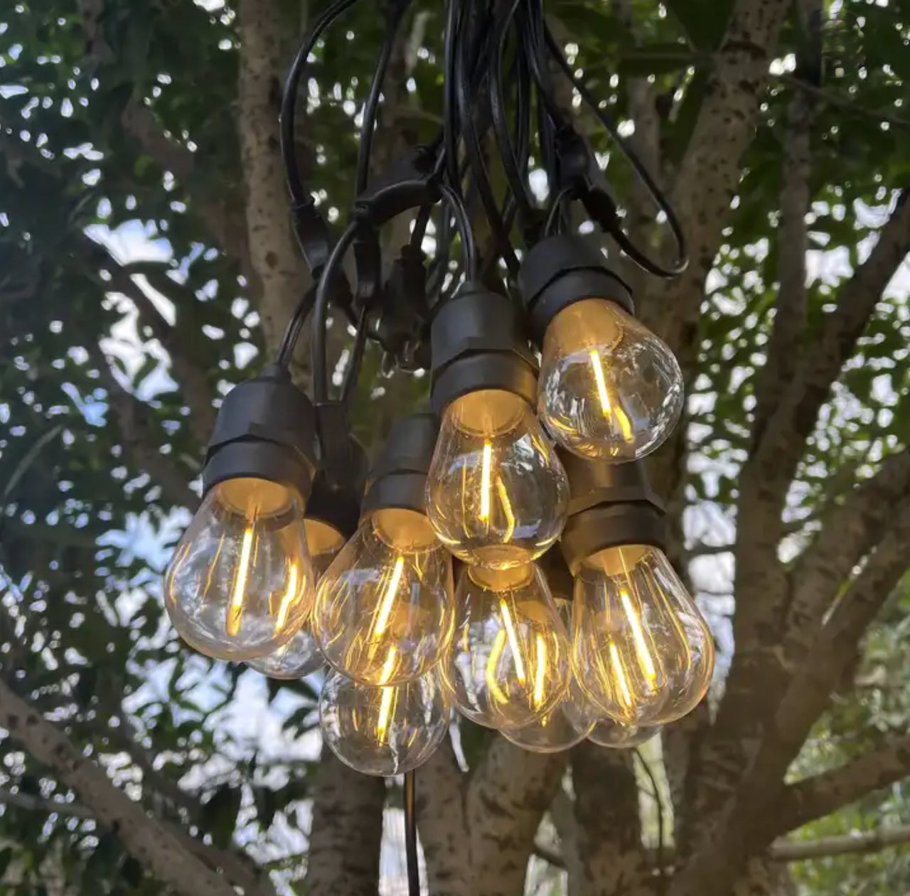 Solar Festoon Lights – Glow Lighting