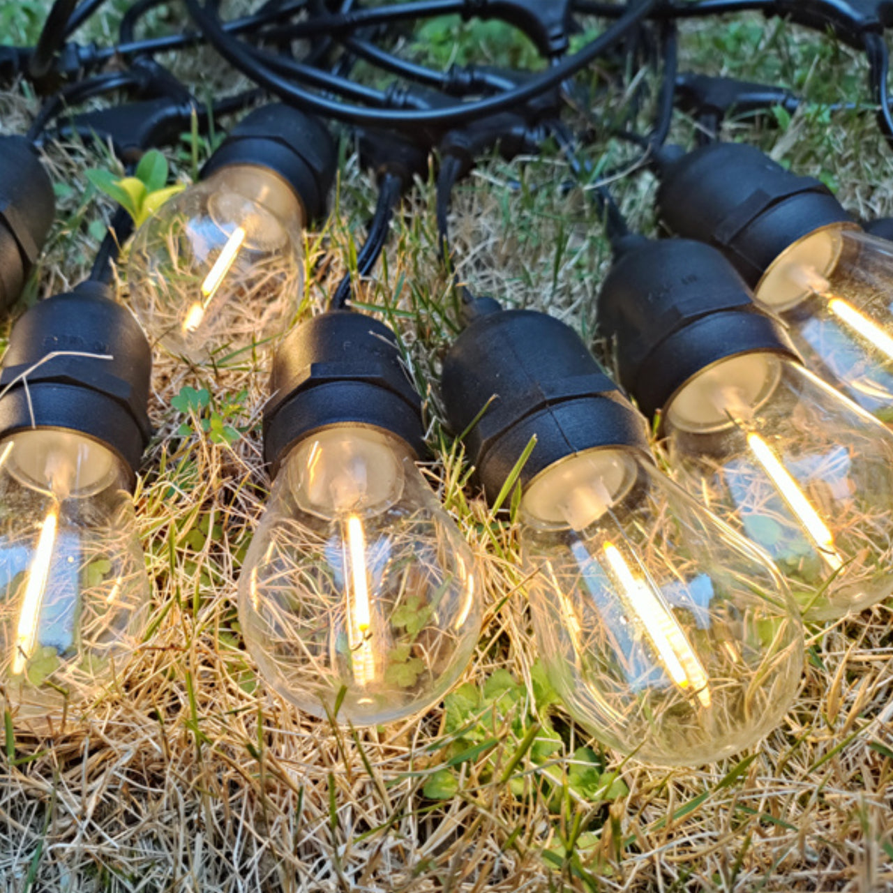 Solar Festoon Lights – Glow Lighting